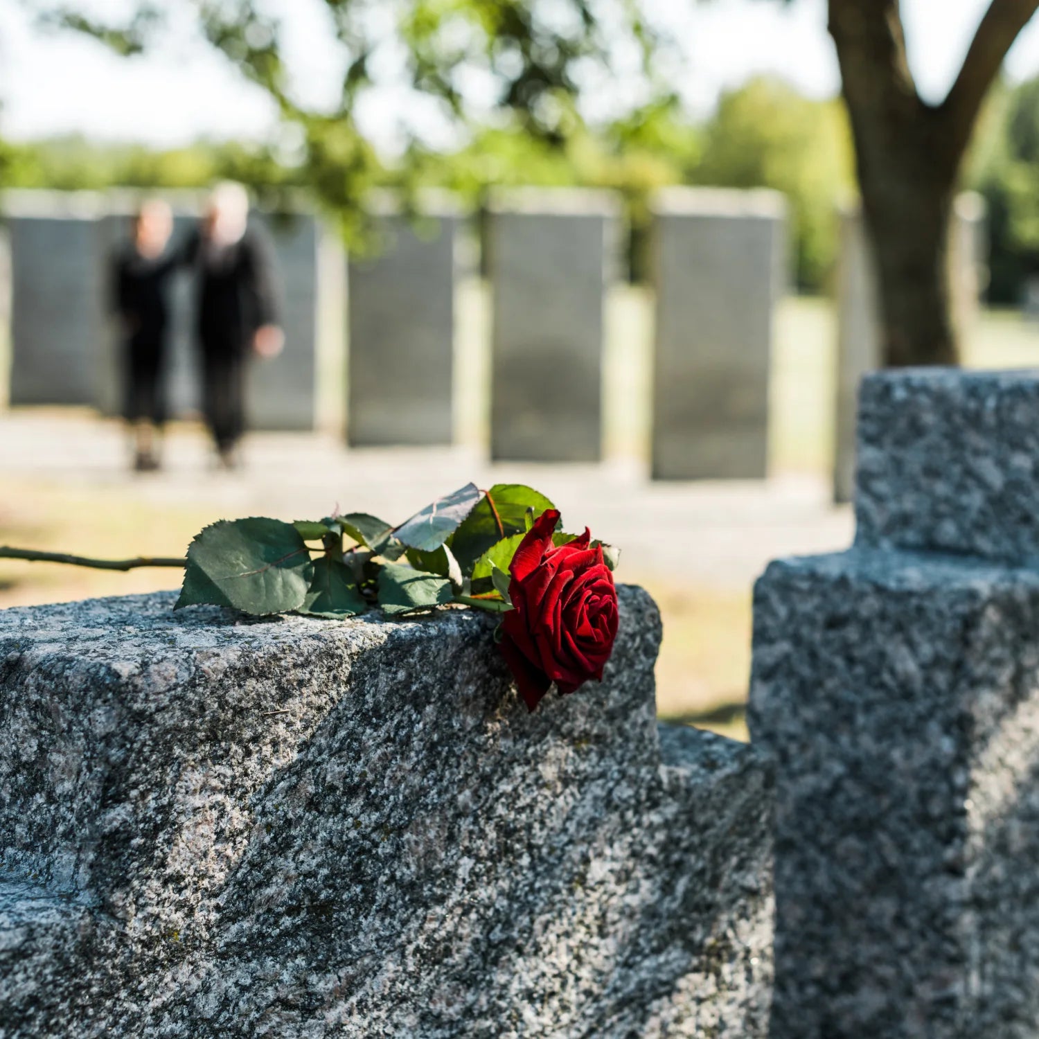 Memorials – Tree for Life
